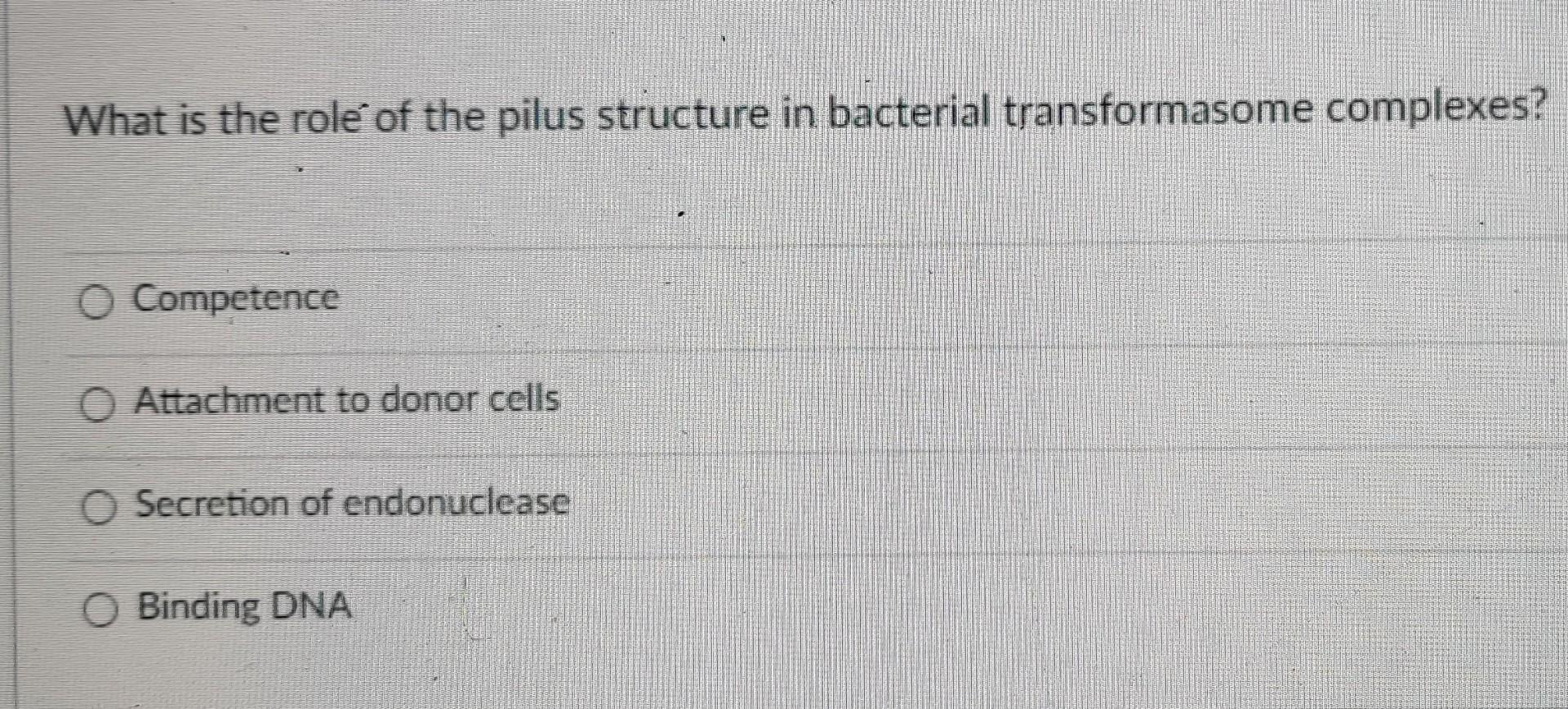 Solved What is the role of the pilus structure in bacterial | Chegg.com