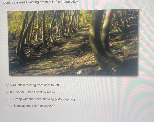 Solved Identify the mass wasting process in the image below: | Chegg.com