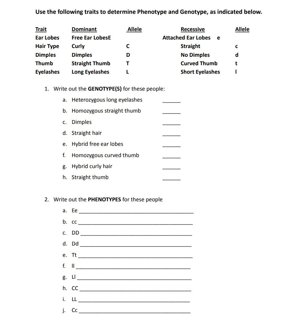 Solved Use the following traits to determine Phenotype and | Chegg.com