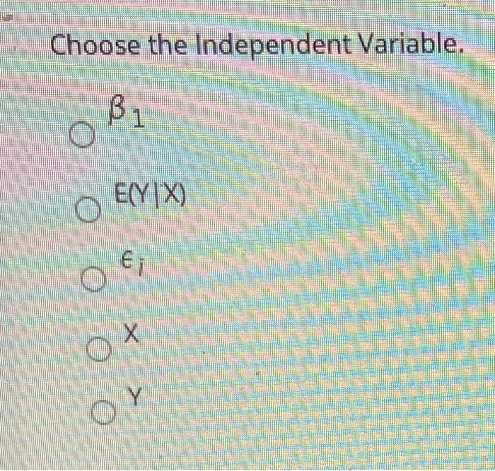 Solved Choose the Independent Variable. B1 o E(Y|X) O Х o'o | Chegg.com
