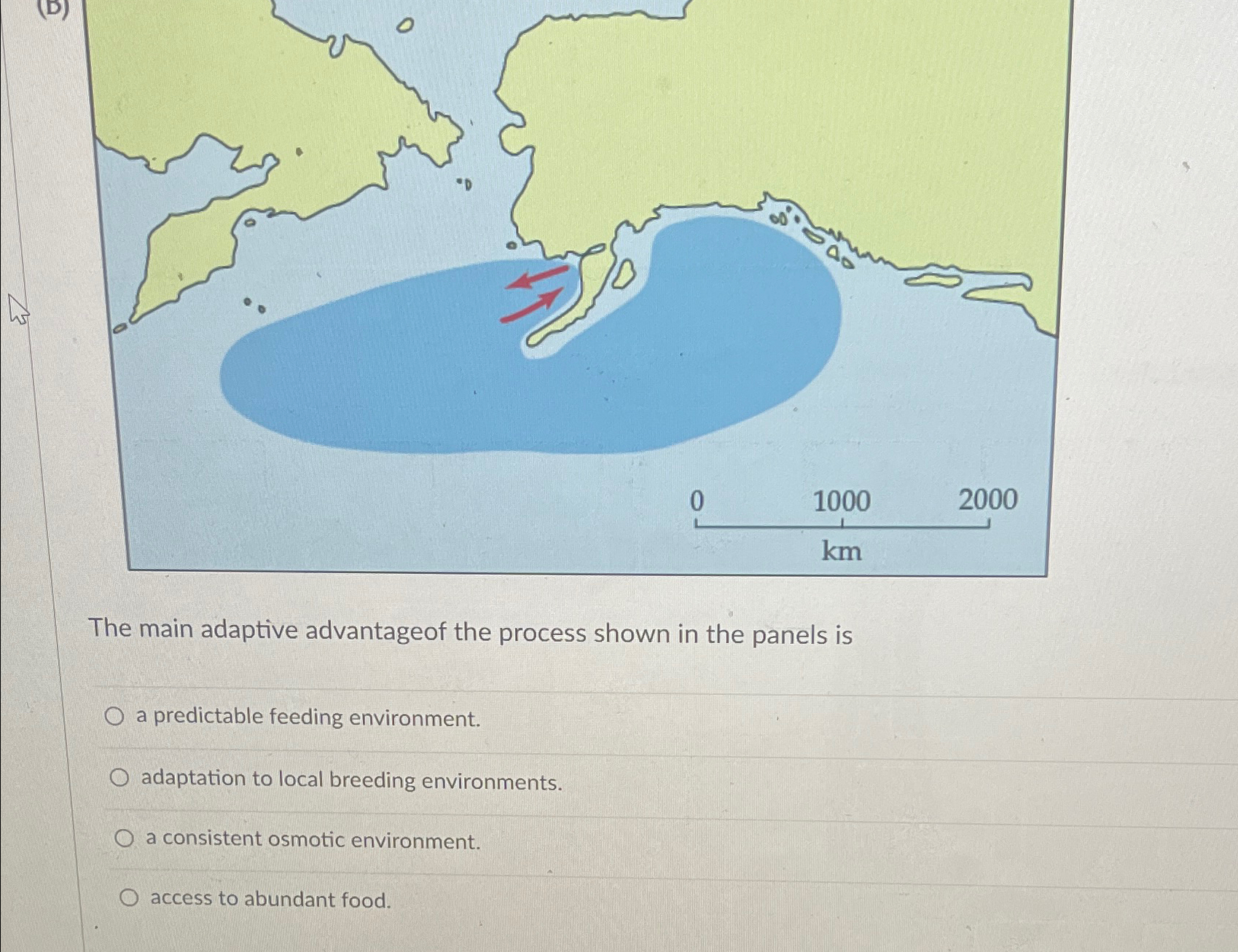 Solved The main adaptive advantageof the process shown in | Chegg.com