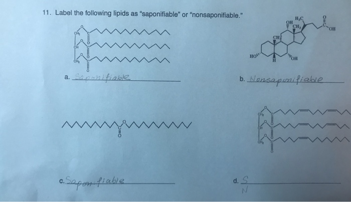 Solved 11. Label the following lipids "saponifiable" or | Chegg.com