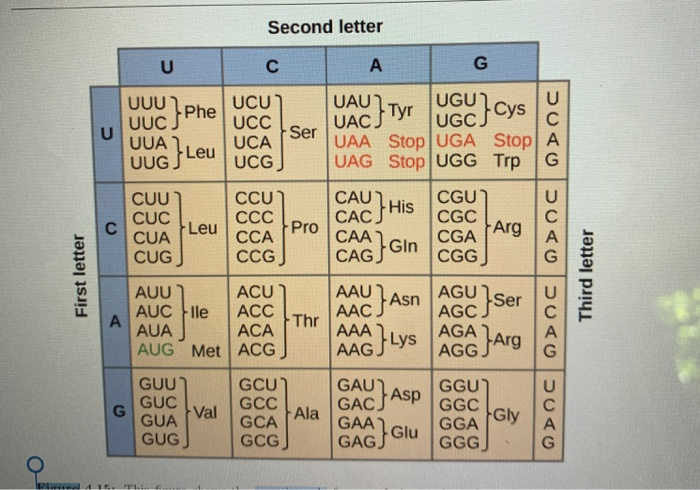 Solved A 1RNA anticodon has the sequence UCU. What amino | Chegg.com