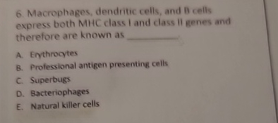 Solved Macrophages, dendritic cells, and 8 ﻿cells express | Chegg.com