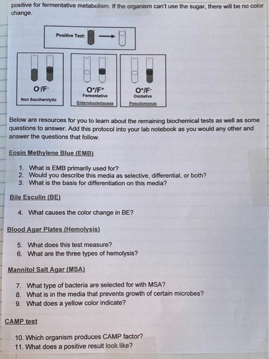 Solved LAB MEDIA Purpose To describe different types of | Chegg.com
