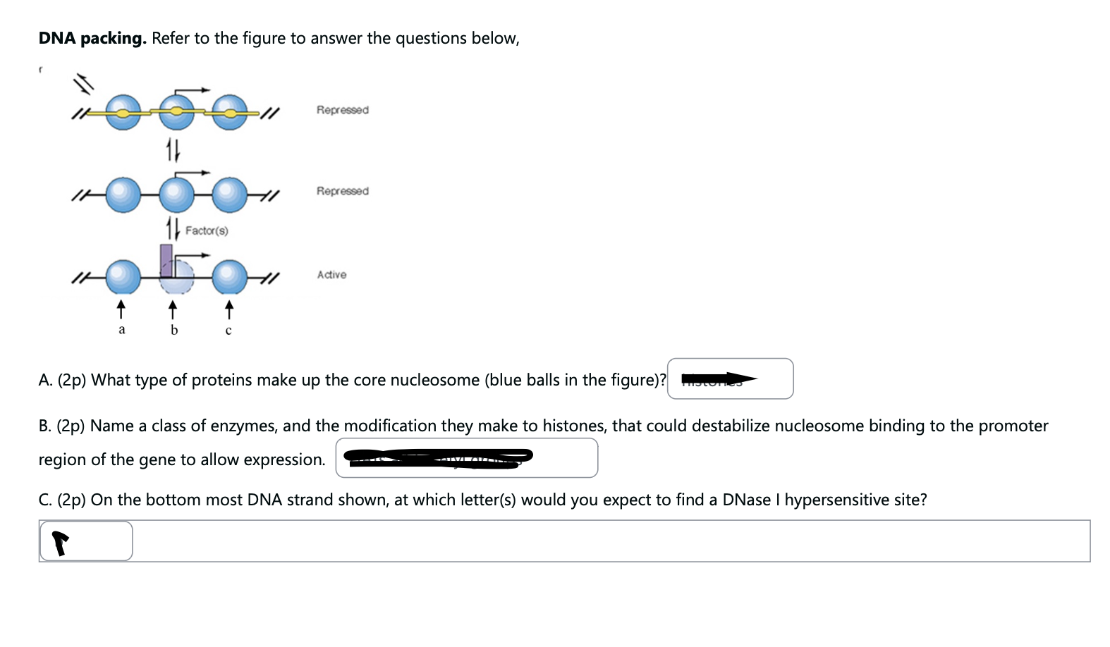 Solved DNA packing. Refer to the figure to answer the | Chegg.com