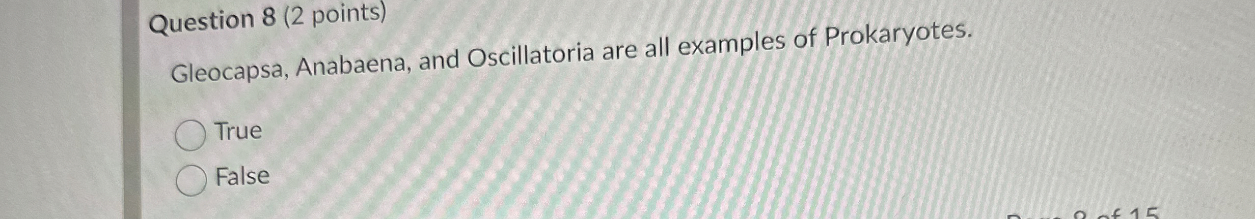Solved Question 8 (2 ﻿points)Gleocapsa, Anabaena, and | Chegg.com