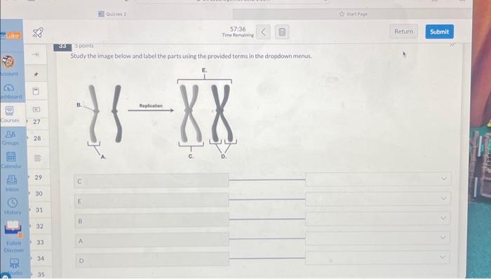 Solved Study the image below and label the parts using the | Chegg.com