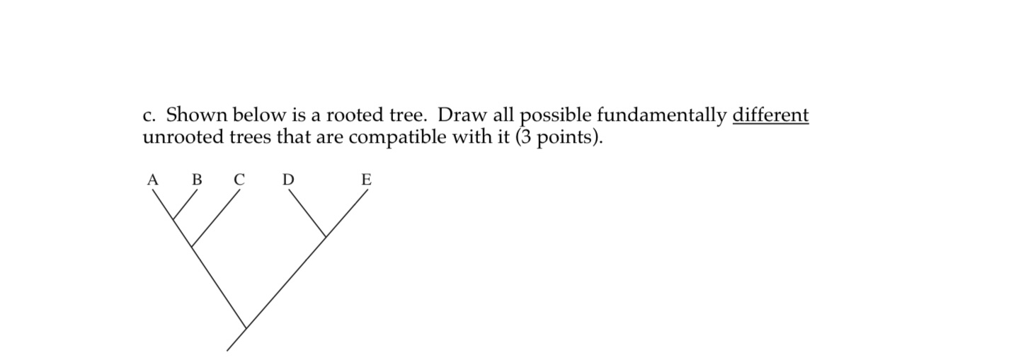 Solved c. ﻿Shown below is a rooted tree. Draw all possible | Chegg.com