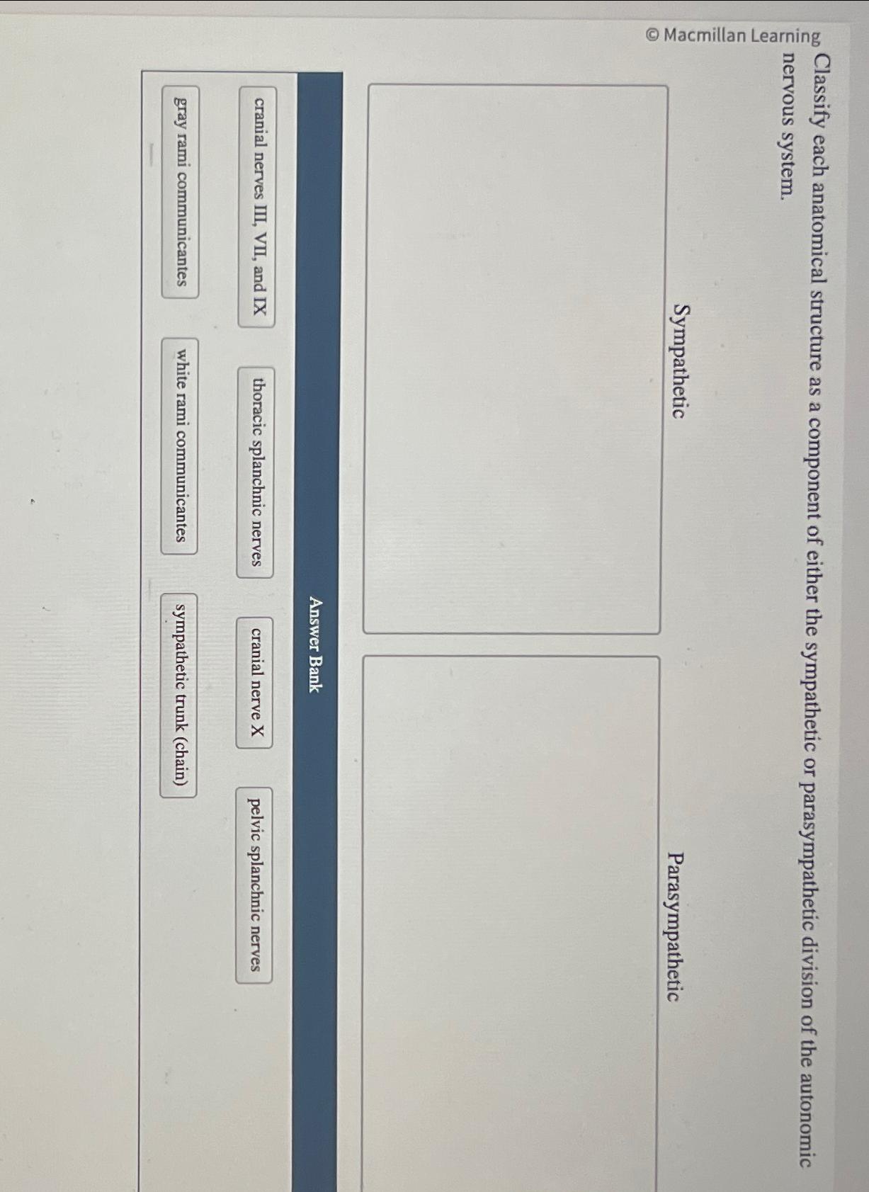 Solved Classify each anatomical structure as a component of | Chegg.com