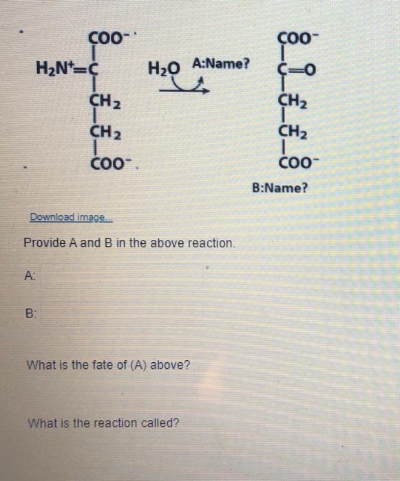 Solved COO- çoo H2Nt=Ć H2O A:Name? c=0 CH2 CH2 | CH2 CH2 | | Chegg.com
