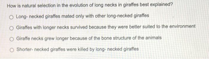 Solved How is natural selection in the evolution of long | Chegg.com
