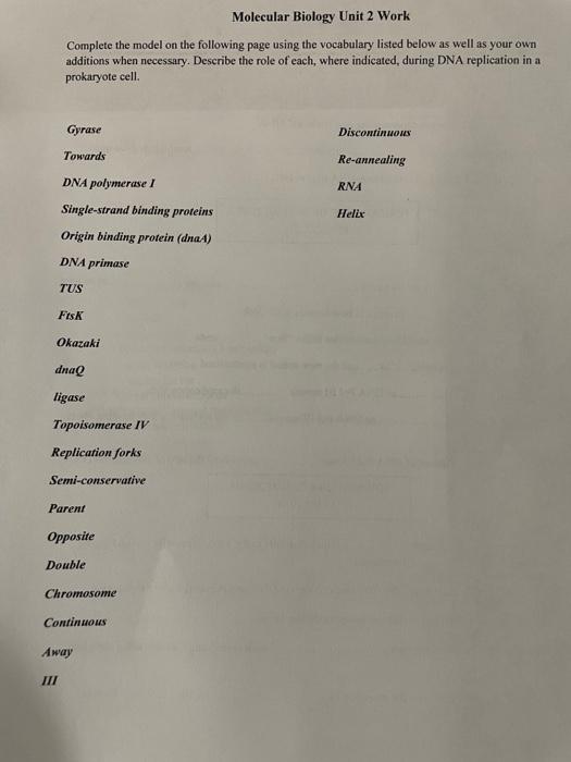 Molecular Biology Unit 2 Work Complete the model on | Chegg.com