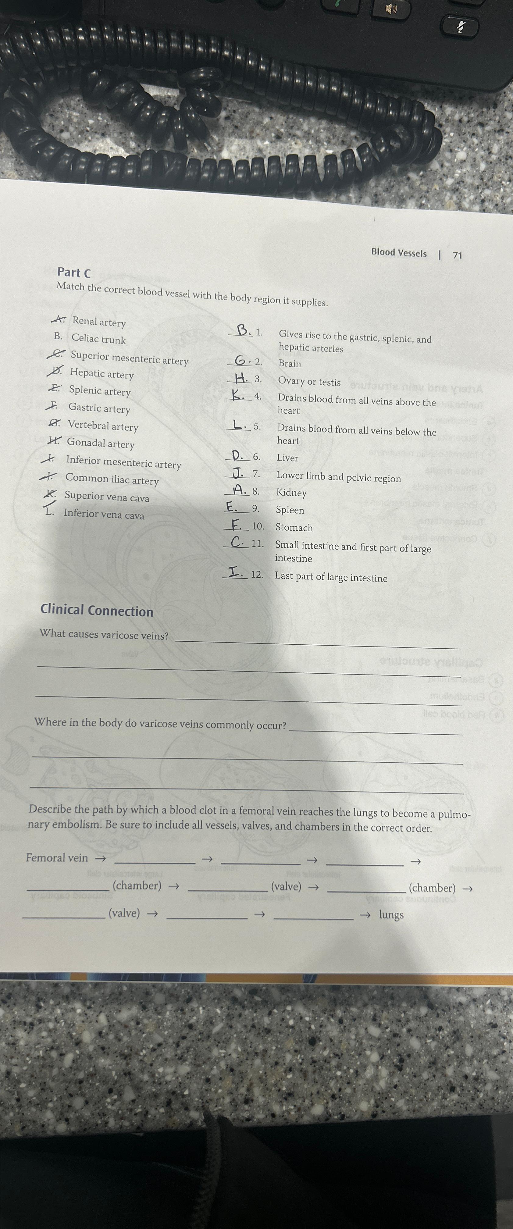 Solved Blood Vessels | 71Part CMatch the correct blood | Chegg.com