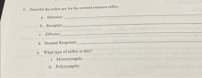 Solved 6. Describe the reflex arc for the crossed extensor | Chegg.com