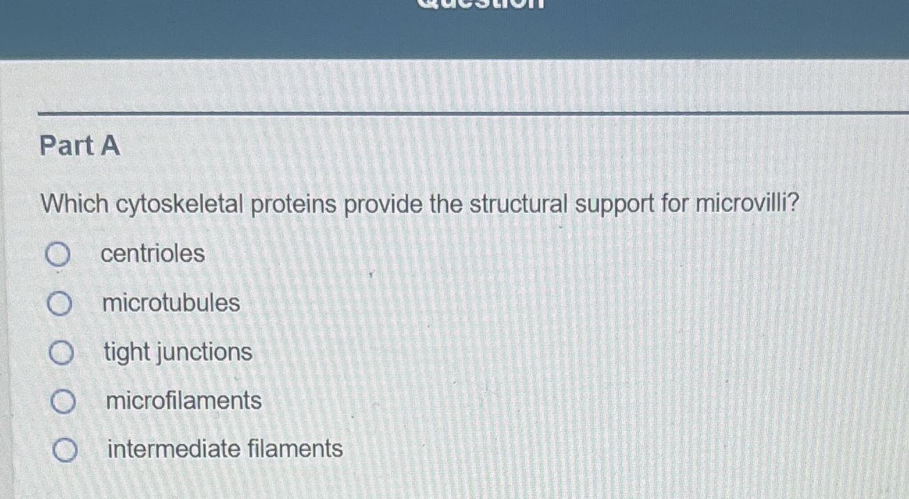 Solved Part AWhich cytoskeletal proteins provide the | Chegg.com
