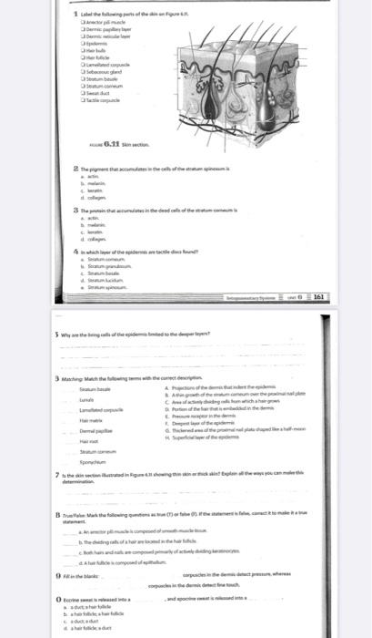 int b. acteleilt 1. + i. tith. b. nelwen if | Chegg.com