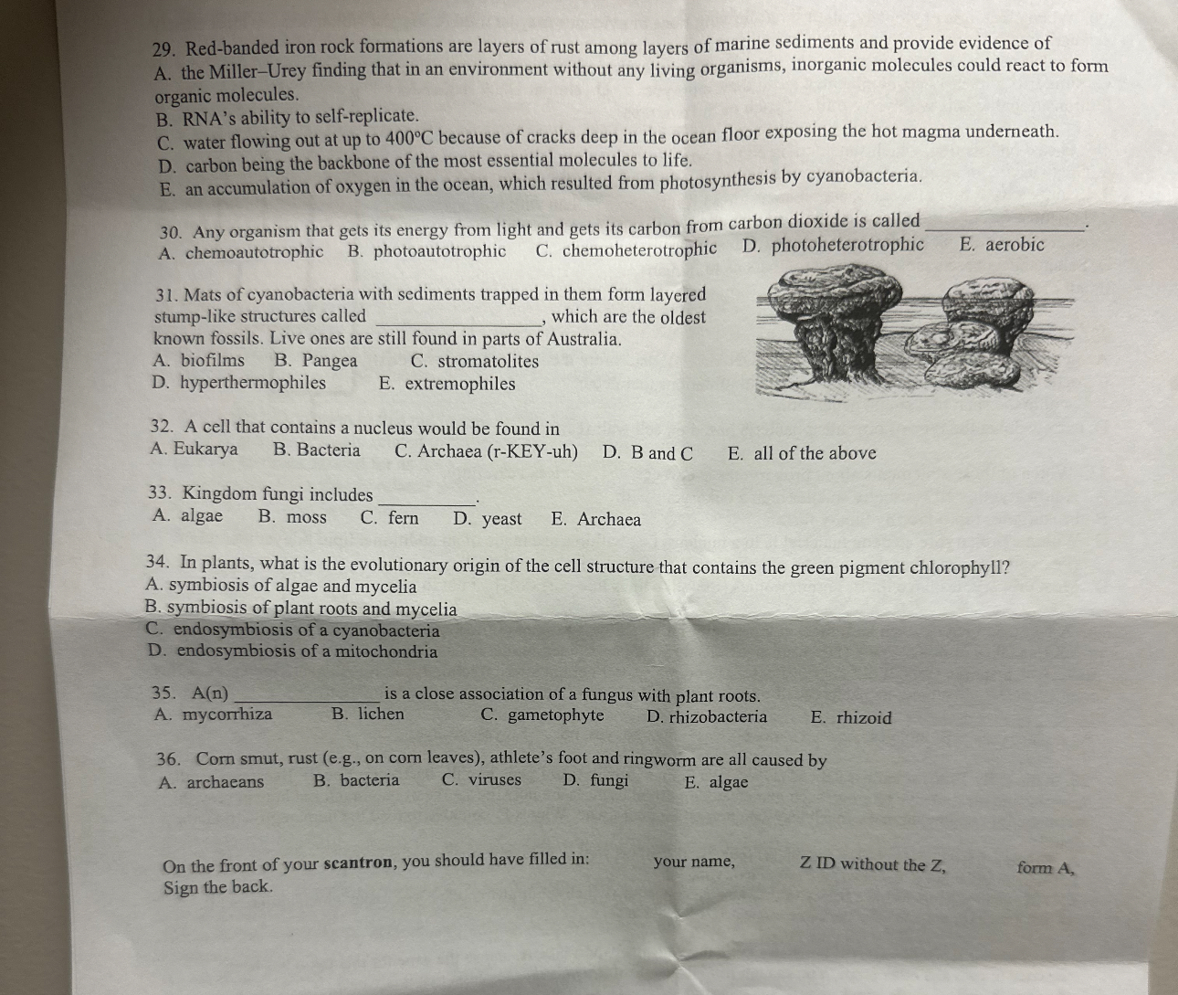 Solved Red-banded iron rock formations are layers of rust | Chegg.com