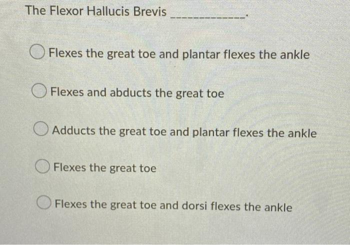 Solved The Flexor Hallucis Brevis Flexes the great toe and | Chegg.com