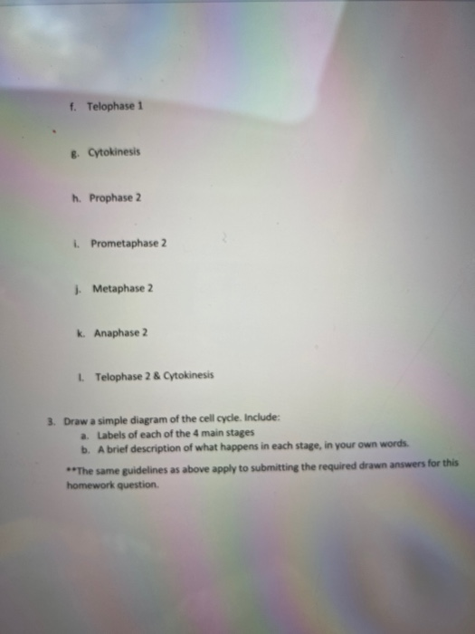 Solved : 1. Draw out the process of mitosis by hand, | Chegg.com