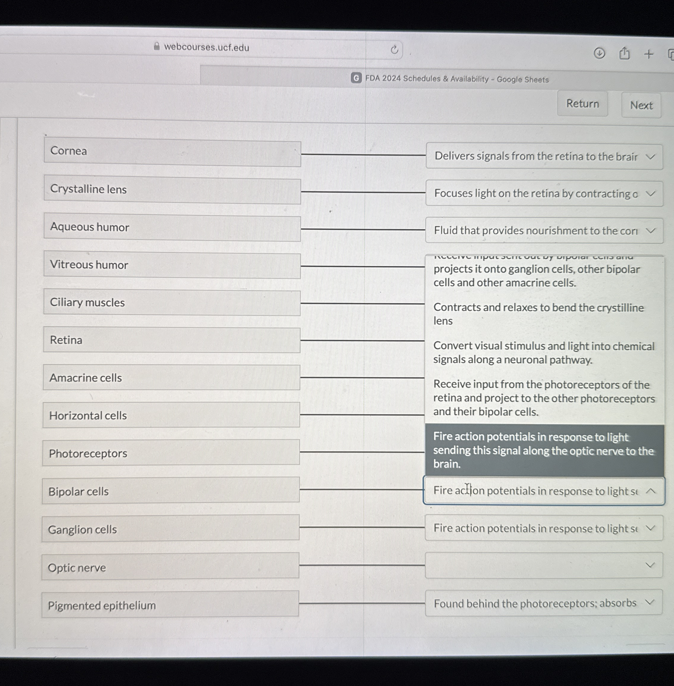 Solved webcourses.ucf.eduFDA 2024 ﻿Schedules & Availability | Chegg.com
