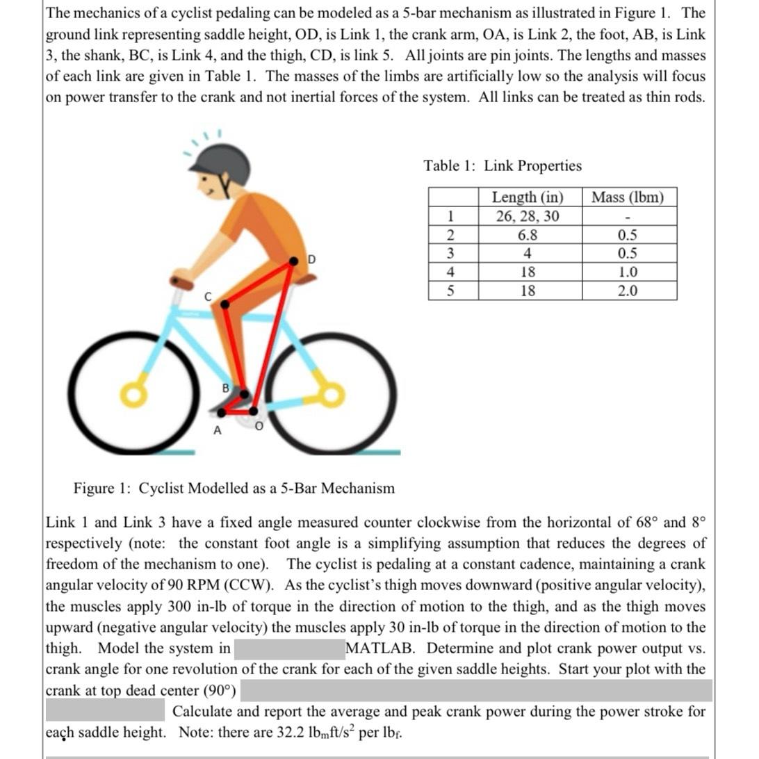 Solved The mechanics of a cyclist pedaling can be modeled as | Chegg.com