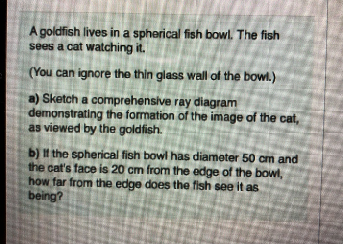 Solved A goldfish lives in a spherical fish bowl. The fish | Chegg.com