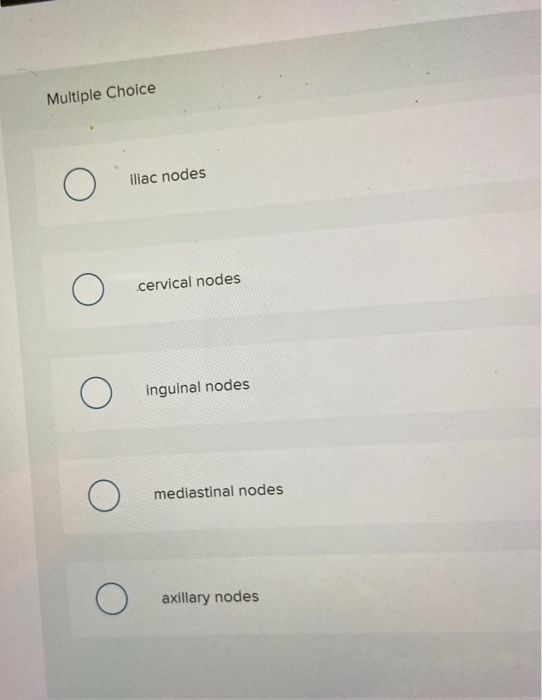 Solved Which structure is highlighted? Multiple Choice | Chegg.com