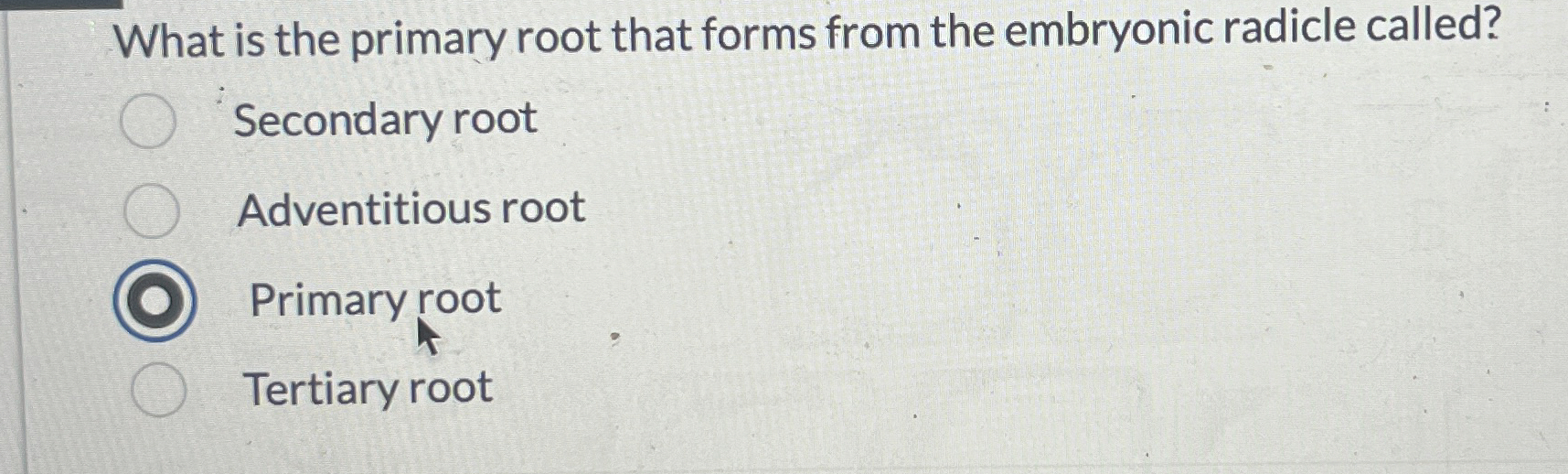 Solved What is the primary root that forms from the | Chegg.com