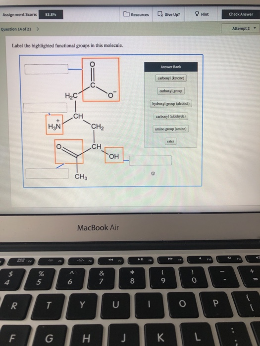 Solved Assignment Score: 83.8% Resources Ex Give Up? Hint | Chegg.com