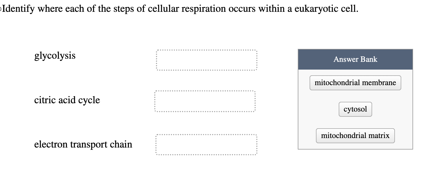 Solved Answer BankIdentify where each of the steps of | Chegg.com