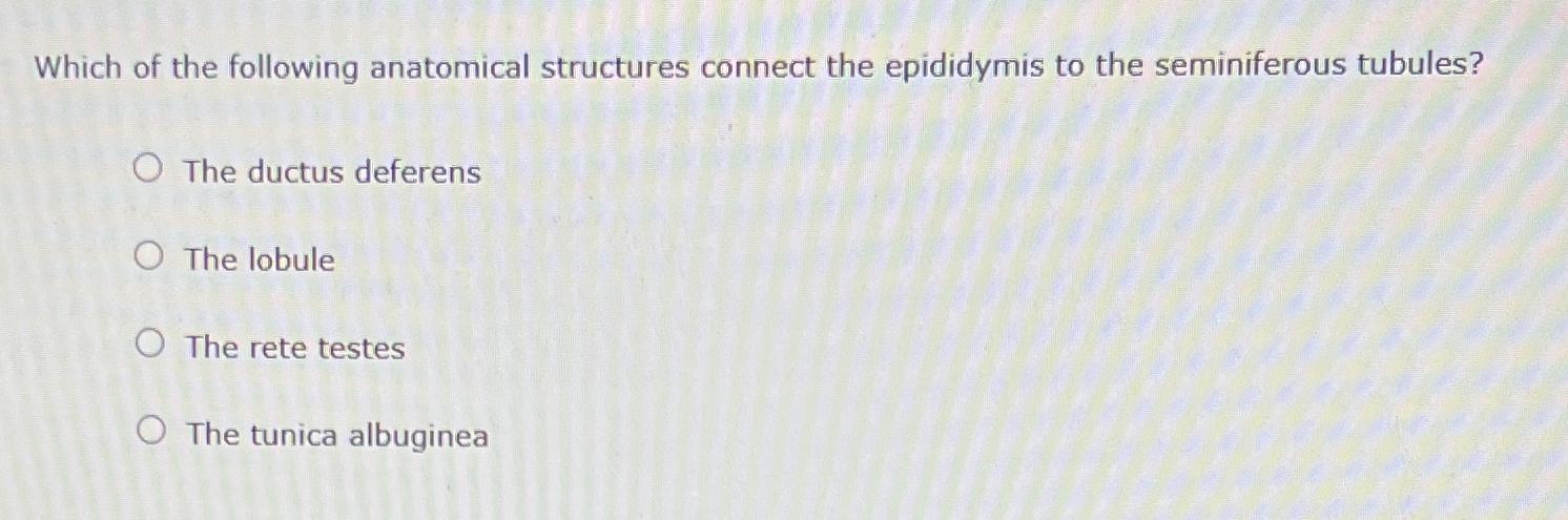Solved Which of the following anatomical structures connect | Chegg.com