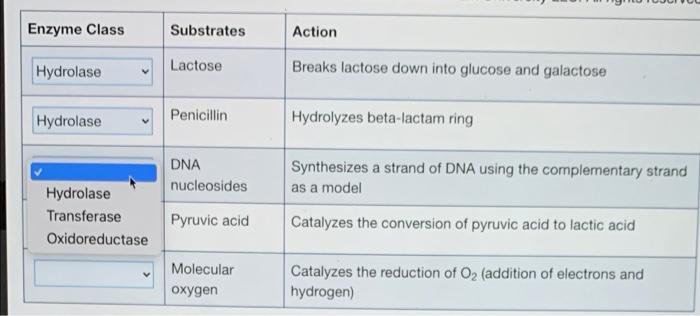 Solved Enzyme Class Substrates Action Hydrolase Lactose | Chegg.com