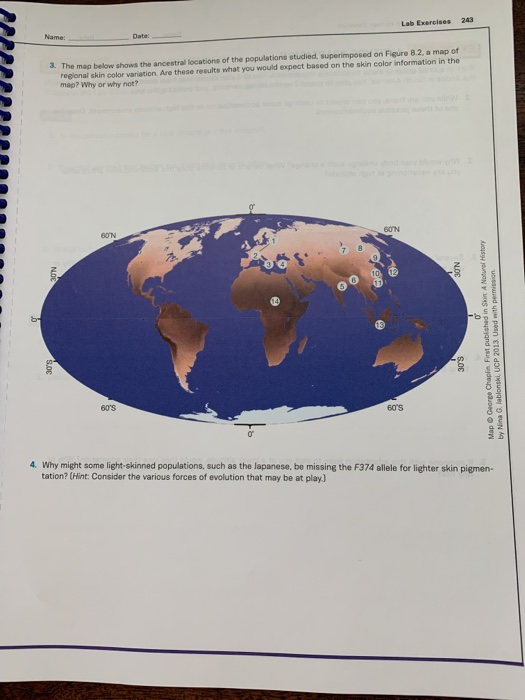 Solved Date: 242 LAB & Modern Human Variation EXERCISE 2 | Chegg.com