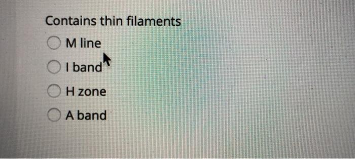 Solved Contains thin filaments M line I band H zone A band | Chegg.com