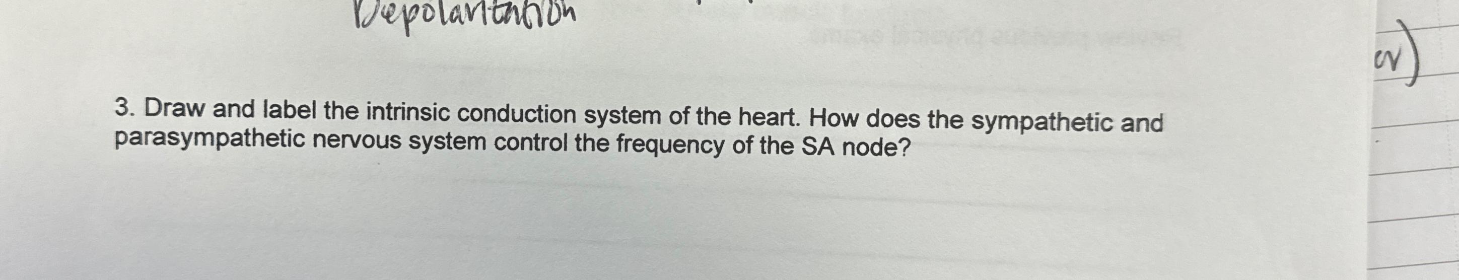 Solved Draw and label the intrinsic conduction system of the | Chegg.com