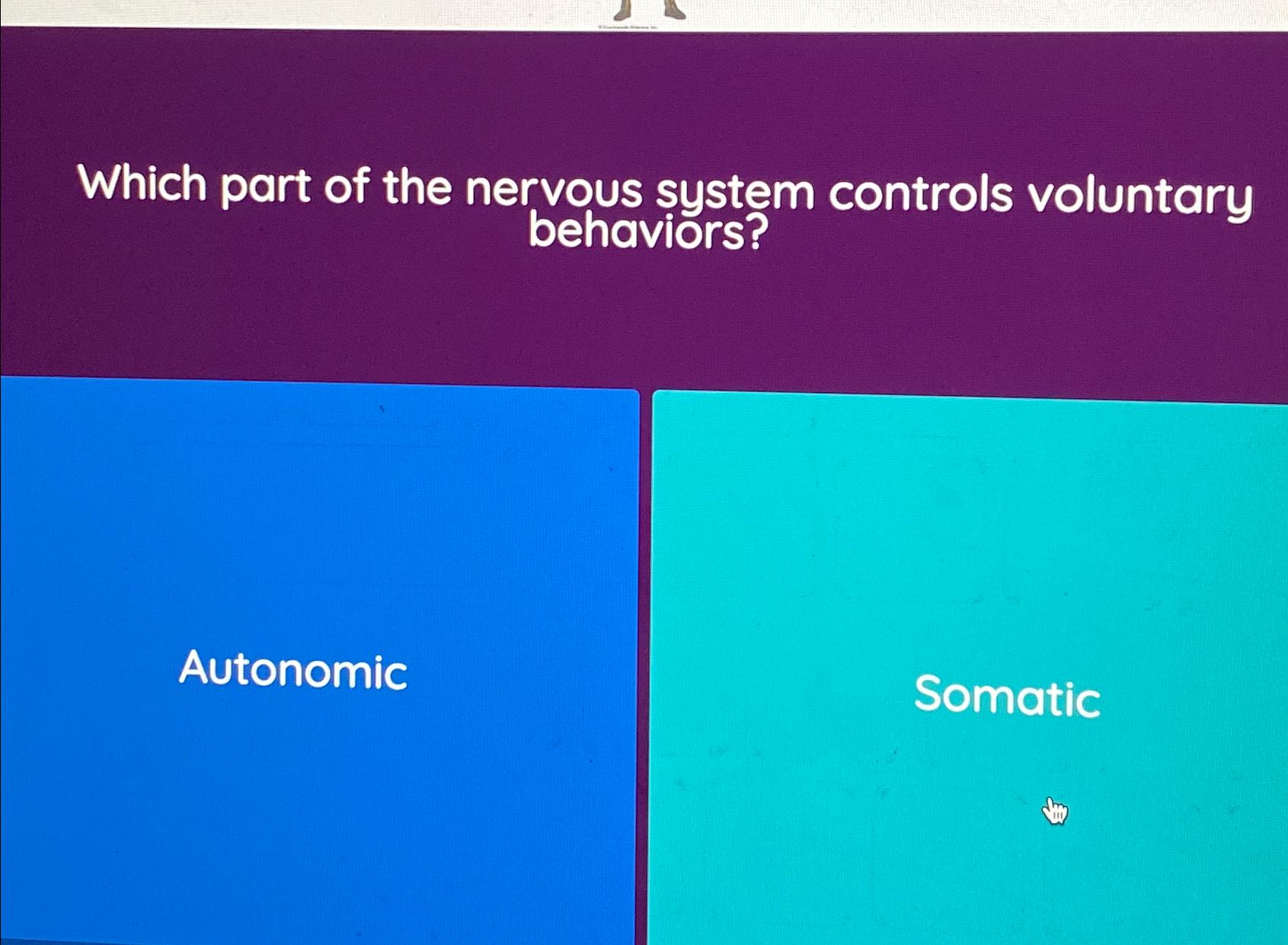 Solved Which part of the nervous system controls voluntary | Chegg.com