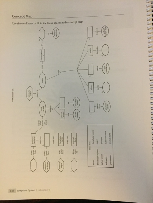 Solved Concept Map Use the word bank to fill in the blank | Chegg.com