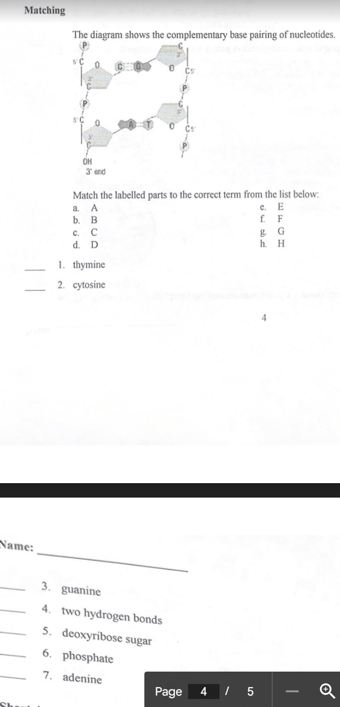 Solved MatchingThe diagram shows the complementary base | Chegg.com