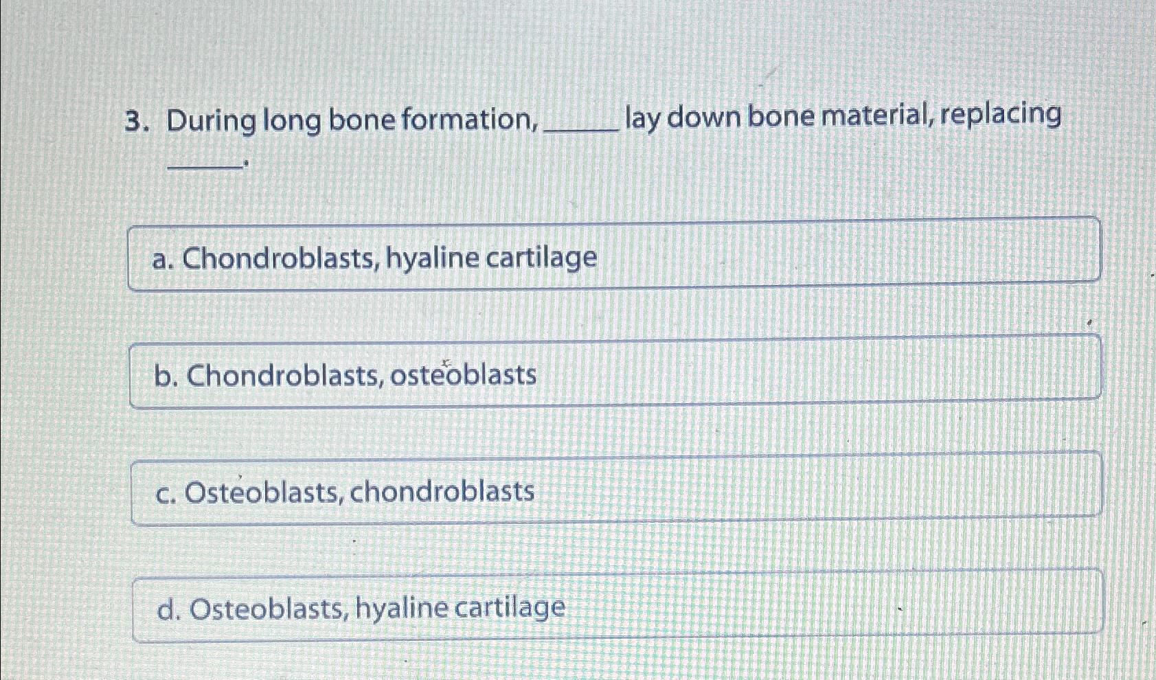 Solved During long bone formation, ay down bone material, | Chegg.com