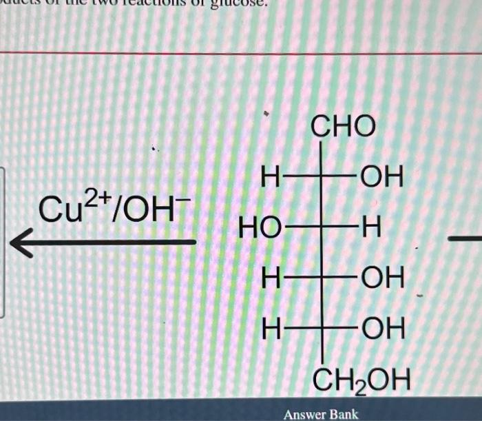 ←Cu2+/OH− | Chegg.com
