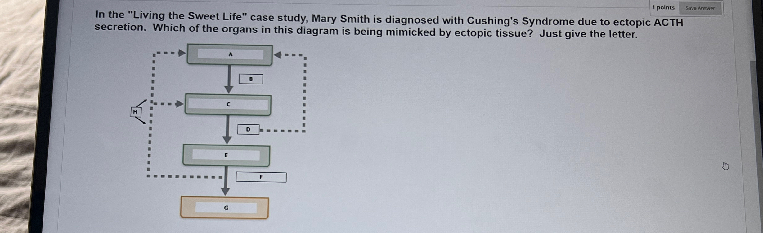 Solved 1 ﻿pointsIn the "Living the Sweet Life" case study, | Chegg.com