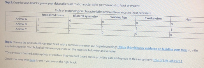 Solved Step 5: Organize your data! Organize your datatable | Chegg.com