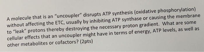 Solved A molecule that is an "uncoupler” disrupts ATP | Chegg.com