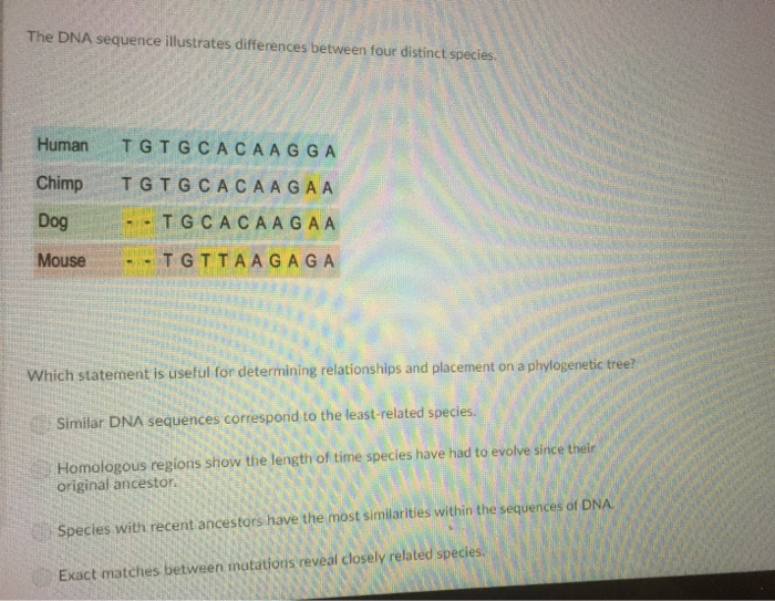 Solved The DNA sequence illustrates differences between four | Chegg.com
