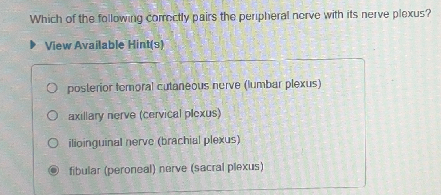 Solved Which of the following correctly pairs the peripheral | Chegg.com