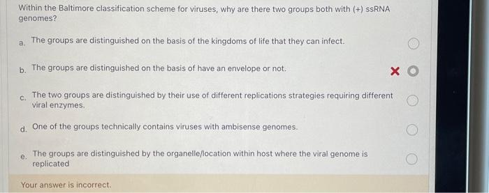 Solved Within the Baltimore classification scheme for | Chegg.com