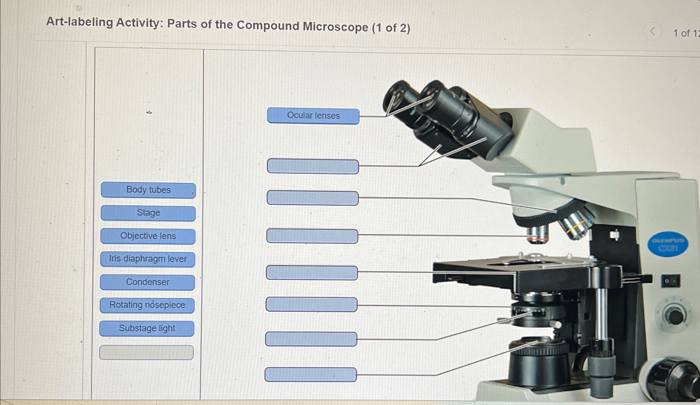 Solved Art-labeling Activity: Parts of the Compound | Chegg.com