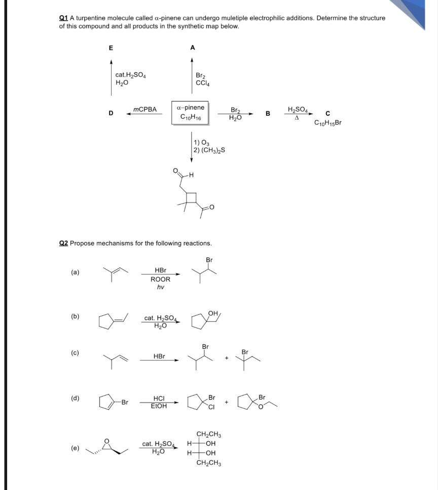 Solved Q1 A turpentine molecule called α-pinene can undergo | Chegg.com