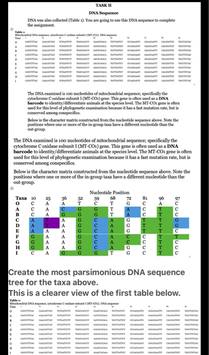 Solved TASK II DNA Sequence DNA was also collected (Table | Chegg.com